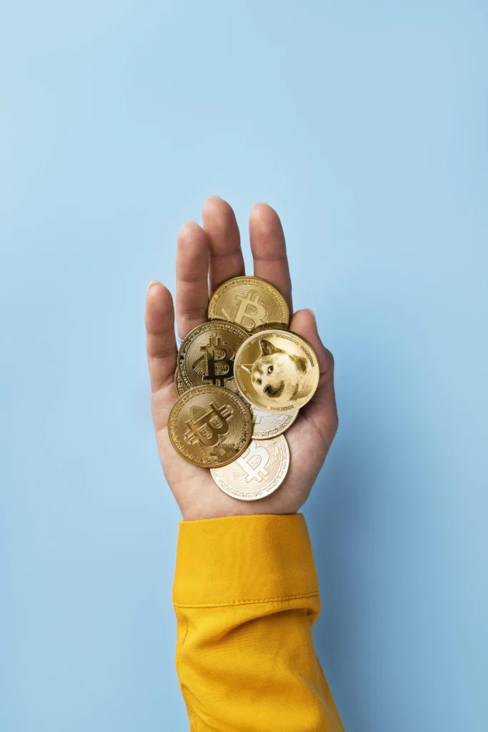 The Best Opportunity to Invest and Discover the Most Promising ...